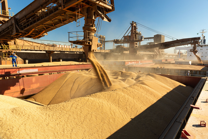 Global Soybean Market Set for Further Growth in 2026/27 | CZ app